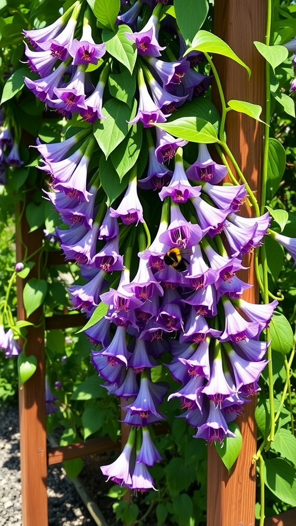 Garlic Vine: The Aromatic Climber for Your Garden